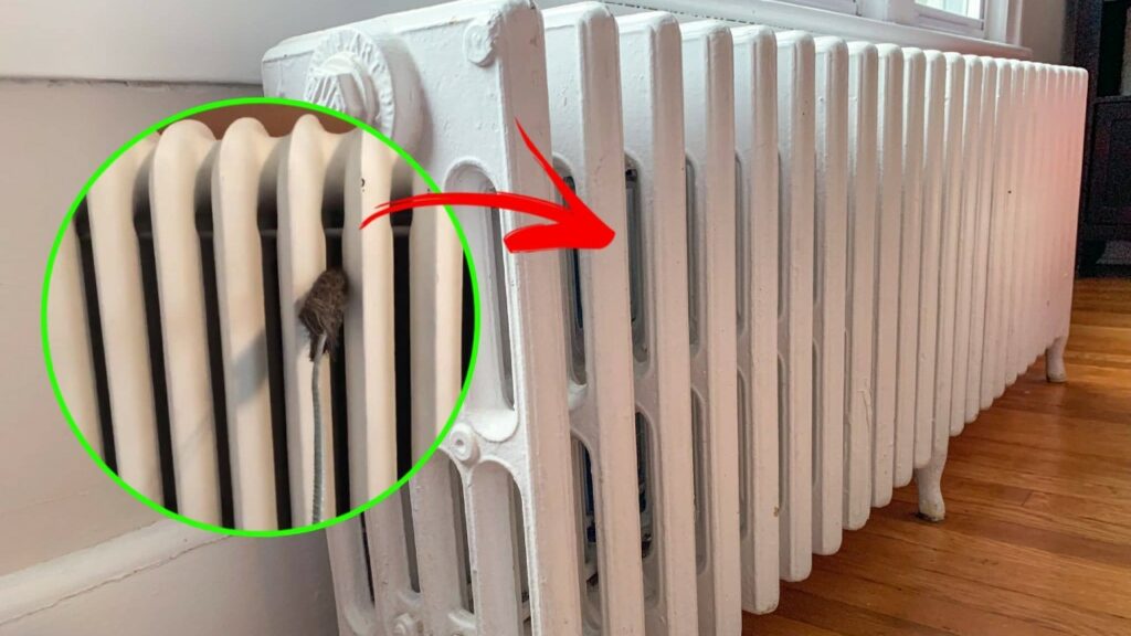Termosifoni: come rimuovere aloni gialli e macchie di ruggine Termosifoni: come rimuovere aloni gialli e macchie di ruggine