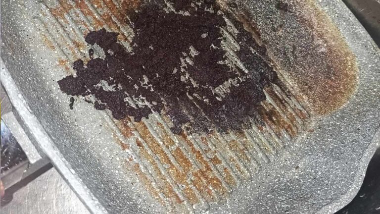 Foglie di alloro nel frigo per una notte, perché tutti lo fanno Foglie di alloro nel frigo per una notte, perché tutti lo fanno