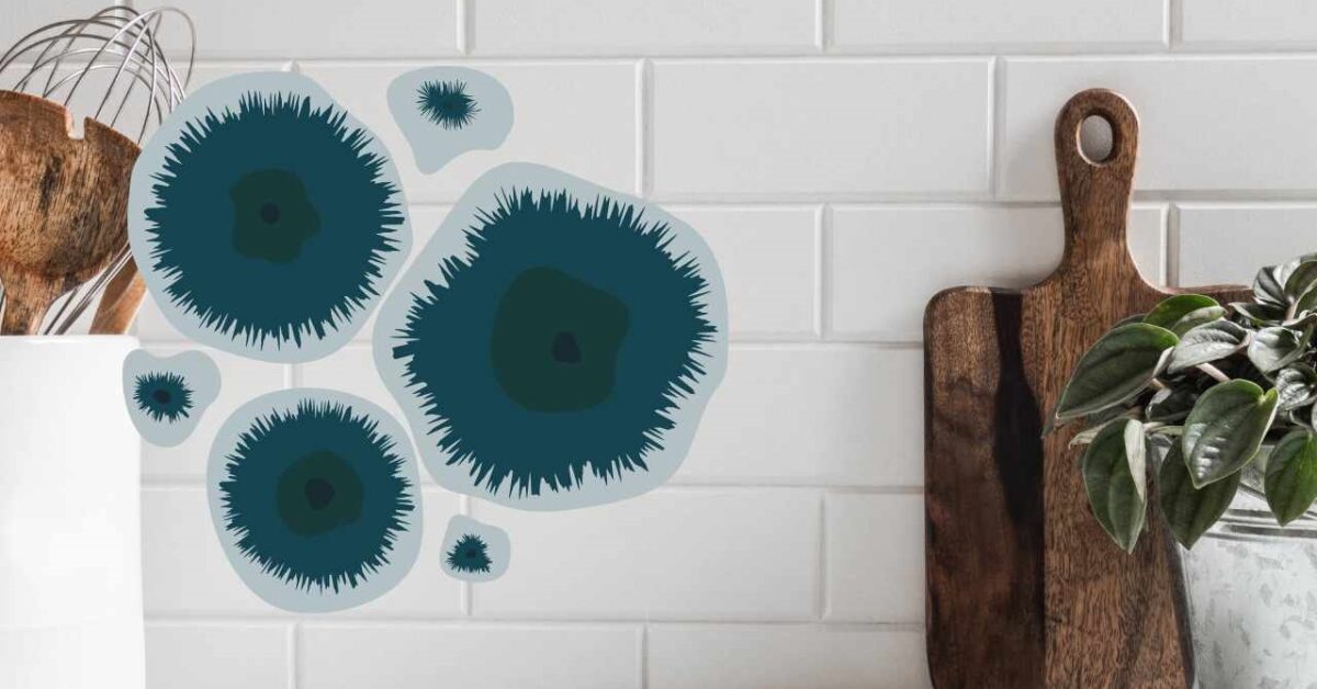 Come Sbarazzarsi Della Muffa Dalle Fughe E Dalle Piastrelle Della Tua Cucina Questi Metodi